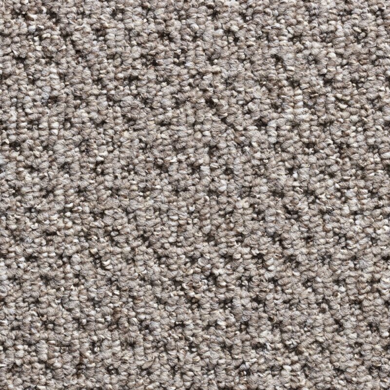 Multi Chooser Loop Carpet - Pay Weekly Carpets, Beds And Furniture